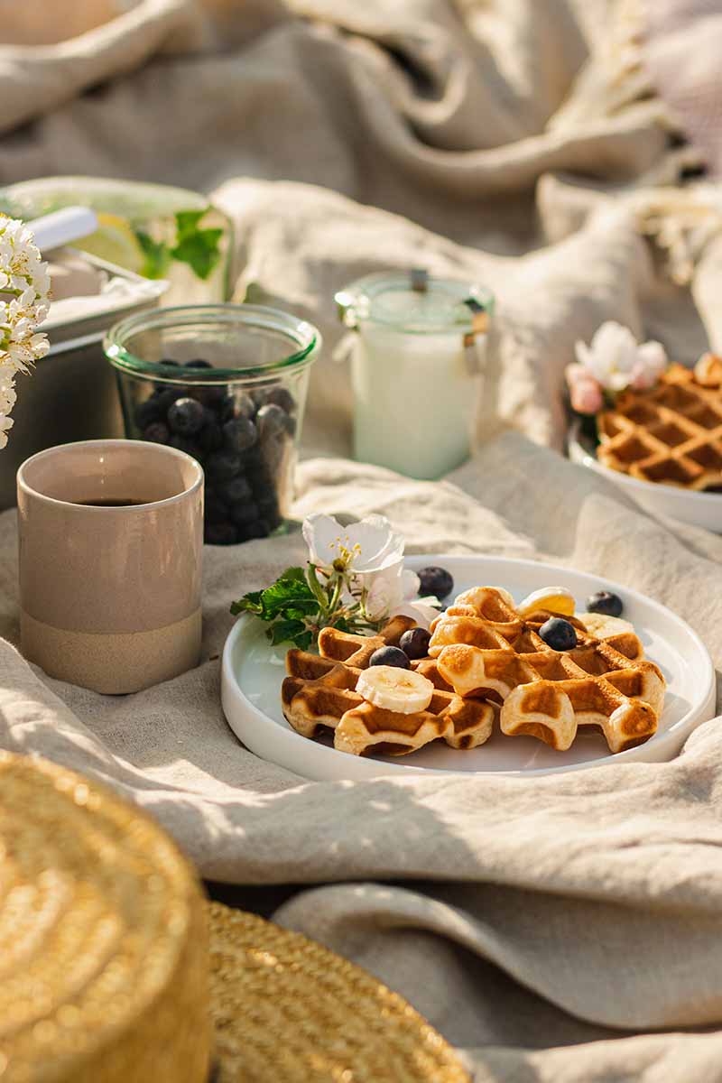 Ronav Cafe & Bistro Apsley